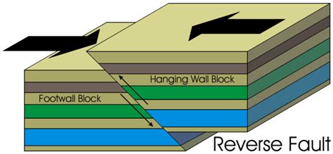 Geography 12 Rocks Reverse Fault