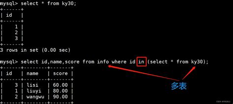 Mysql 第六章 Csdn博客