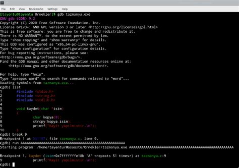 Buffer Overflow Nedir Ve Analizi Geleceği Yazanlar