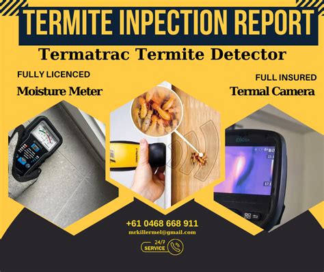 Termite Inspection