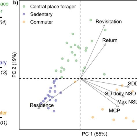 A Dendrogram With Results Of Ward Hierarchical Cluster Analysis Based