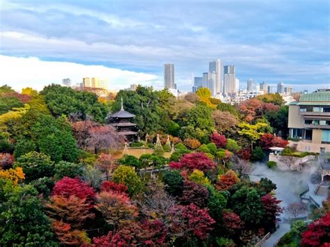 Hotel Chinzanso Tokyo Japan Aboutmygeneration
