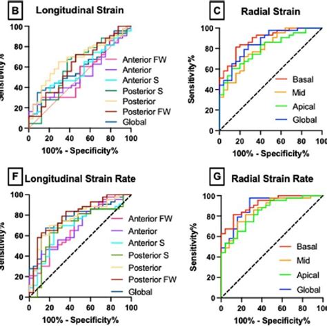 3d Time Cmr Derived Localized E Cc Peak Circumferential Strain And