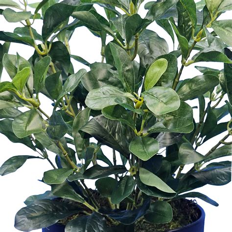 Potted Schefflera Bush 45cm Plant Couture Artificial Plants Francisco Plant Couture