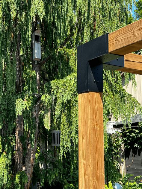 The Owl Box Attracting Screech Owls To Your Yard