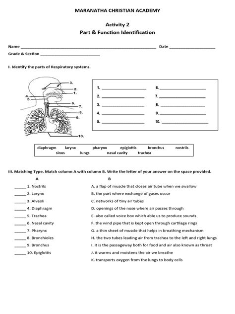 Kyle Lewis Pena Activity 2 Part And Fuction Identification Pdf