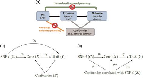 Illustrations Of Mendelian Randomization Mr Analysis And Assumptions Download Scientific
