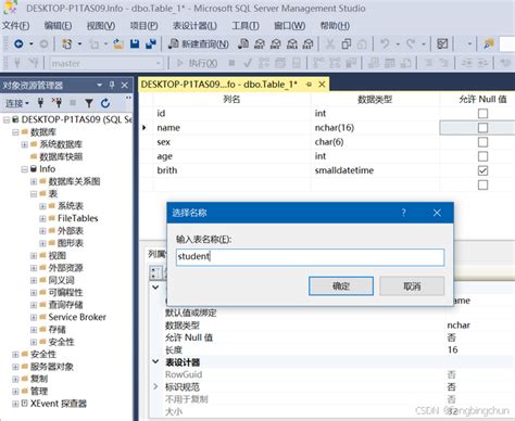 Sql Server Management Studio Csdn