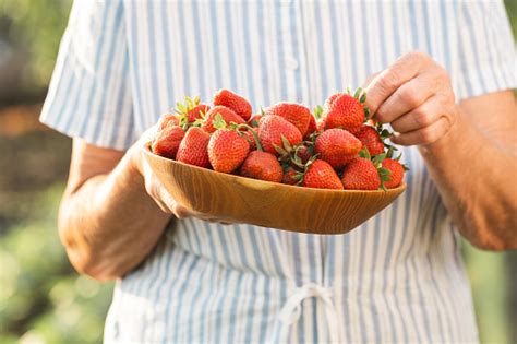 나이 든 여성 농부는 신선한 빨간 딸기로 가득 찬 나무 그릇을 들고 있다 해질녘이나 일출 동안 정원에서 딸기를 줍는 고위 백인 여성 여름에 열매의 수확량 가득 찬에 대한