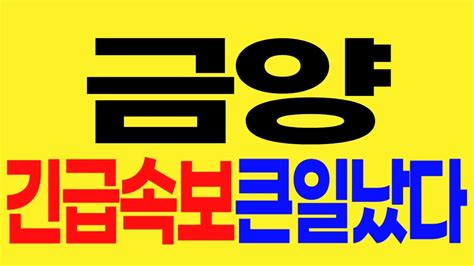 금양 🔥시간외 폭락 큰일났다 알고보니 10억짜리 개미털기 속으면 큰일나요 에코프로 에코프로비엠 박순혁 서정덕tv Youtube