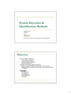Protein Detection Identification Methods Protein Detection Identification Methods Pdf