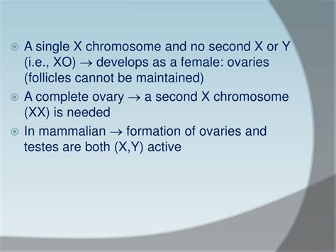 PPT Determinasi Sex Mammals PowerPoint Presentation Free Download ID 5175571