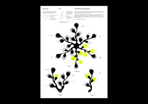 Cell Theory Experimental Data Visualization Prints