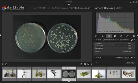 Darktable For Windows Darktable Discuss Pixls Us