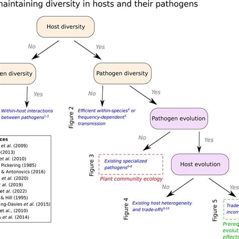 Schematic Illustration Of A Lipf6 Hydrolysis And Hf Triggered