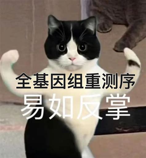 搞明白全基因组重测序了！ 知乎