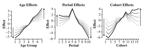 Age Effects Are More Likely Than Cohort Effects
