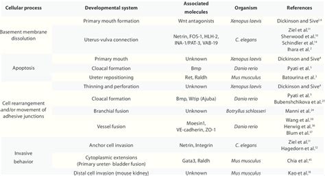 Highlighted Examples Of Molecular And Cellular Processes Prior To Download Table