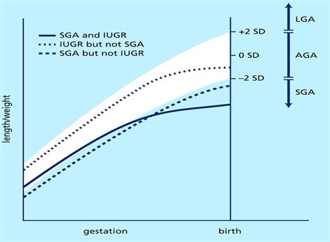 Iugr Chart Maternofetal