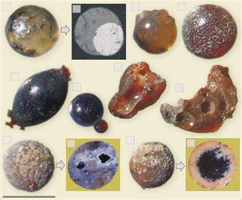 Mi Cro Graphs Of CS Spherule Va Ri Et Ies And Some Fea Tures Of Their Download Scientific