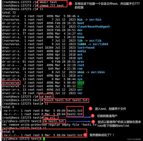 【linux】shell命令运行原理和权限详解linux Shell怎么运行 Csdn博客