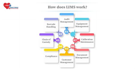 What Role Does Lims Play In Healthcare Benefits And Features
