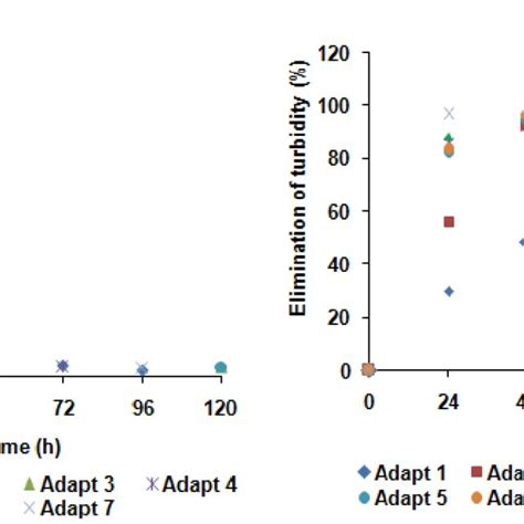 A Turbidity Evolution B Evolution Of Elimination Rate Of The