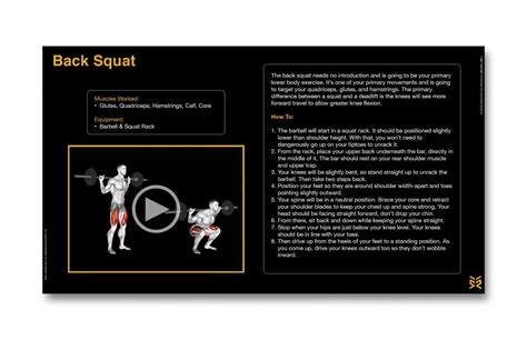 Insanity Fit Test Sheet Excel