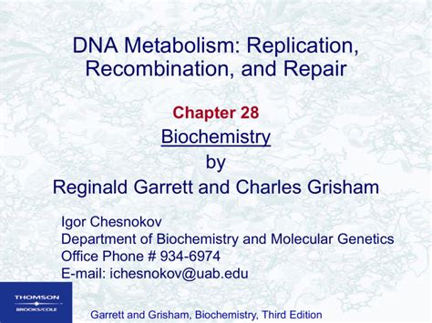 Dna Replication Recombination And Repair 2