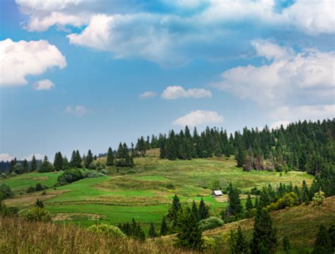 Similarities Between Biome And Ecosystem