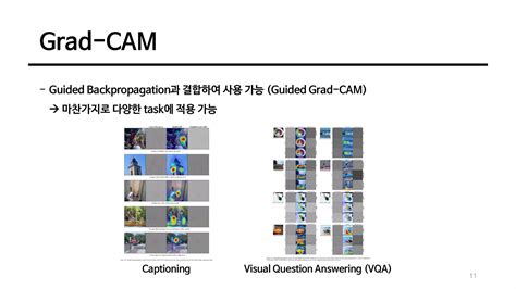 Grad Cam Visual Explanations From Deep Networks Via Gradient Based