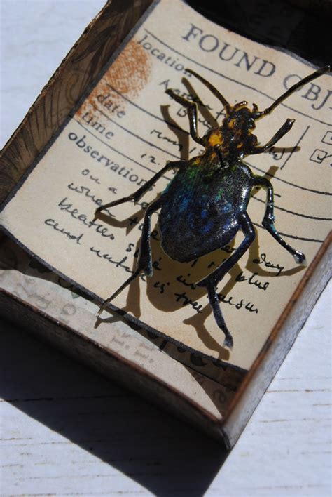 Paperwishesbyamanda Insect In A Matchbox