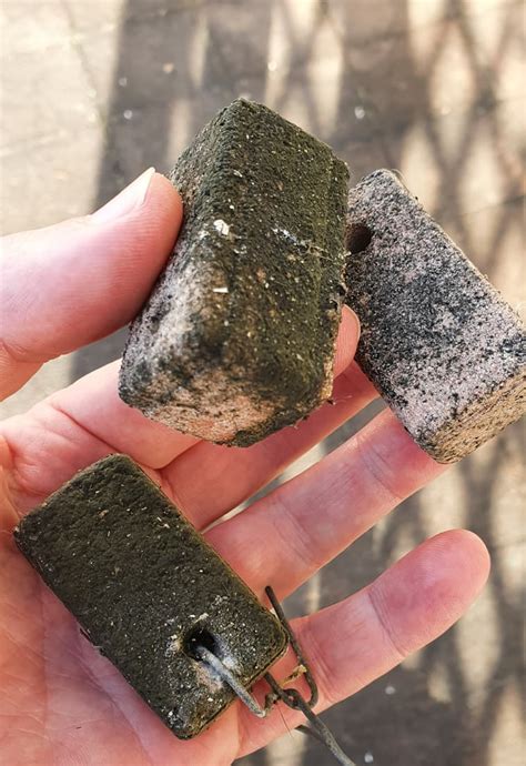 Poauku Experiences Predator Control Strategy Trap Nz Forums