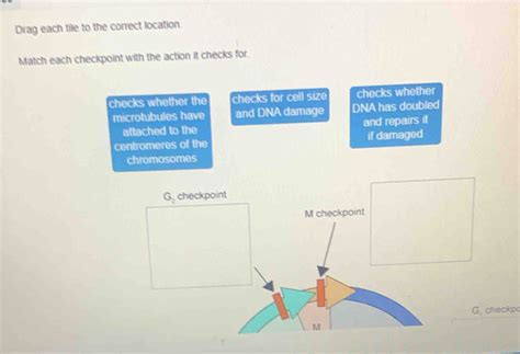 solved drag each tile to the correct location match each checkpoint