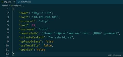Macos Vscode 配置远程服务器ssh Remote链接，并上传文件文件服务器vscode上传文件到服务器 Csdn博客