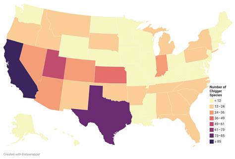 Where Do Chiggers Live Joshuas Pest Control