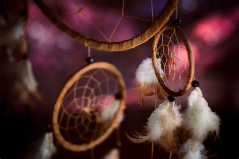 Dream Interpreter Light Warriors Legion