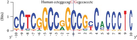 The Prediction Of Core Promoter Elements Transcription Factor Binding Download Scientific