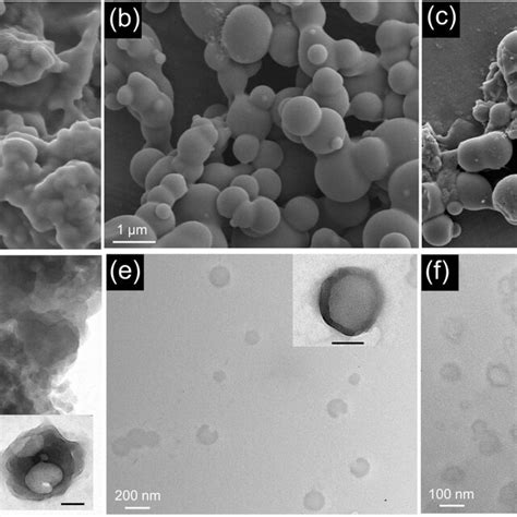 Synthesis And Structures Of Porphyrin Based Pops Based On The