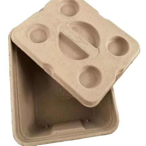 Biodegradable Eco Friendly Paper Pulp Packaging Made Of Recycled Paper