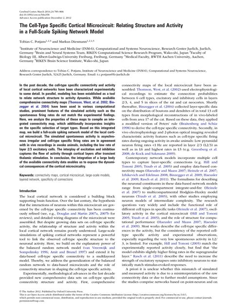 Pdf The Cell Type Specific Cortical Microcircuit Relating Structure And Activity In A Full