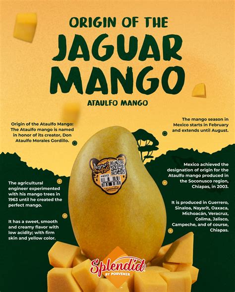 Savethejaguar Wildlifeconservation Jaguarmango Flavoralert Mangos