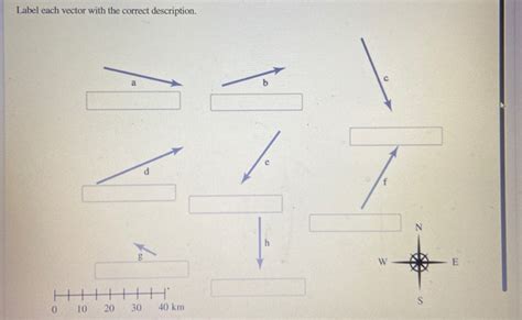 Solved Label each vector with the correct description С a b Chegg com