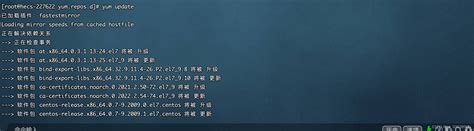 Lunix 更新yum源失败问题的解决yumupdate更新不了 Csdn博客