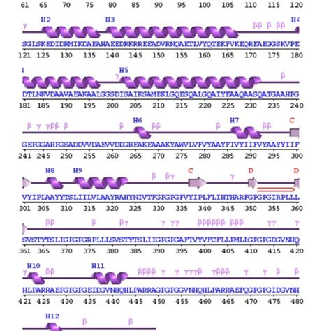Graphical Representation Of The Secondary Structure Of The Designed