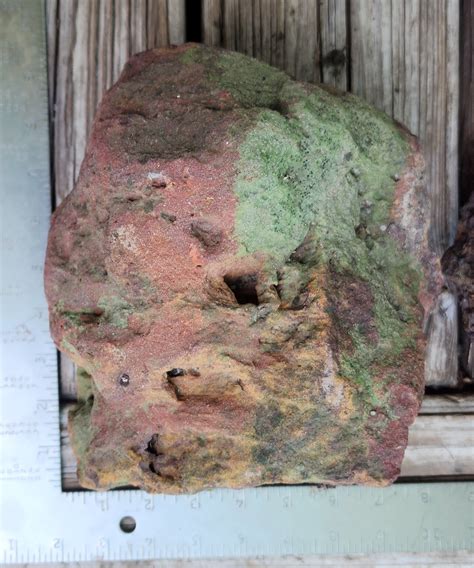 Coprolite Fossil Id The Fossil Forum