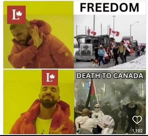 The Latest Memes Memedroid