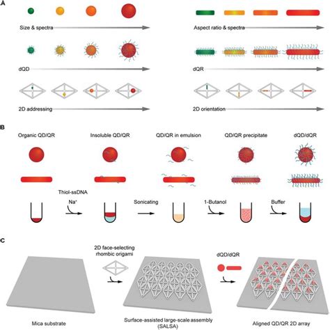 Strategy To Fabricate Scalable Qdqr 2d Array With Nanoscale Precision