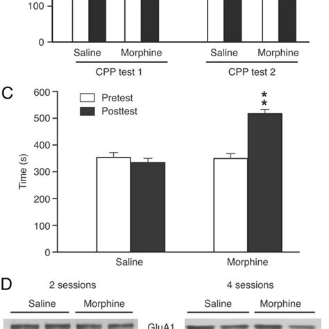 Morphine Conditioning Induces Behavior Of Conditioned Place Preference Download Scientific