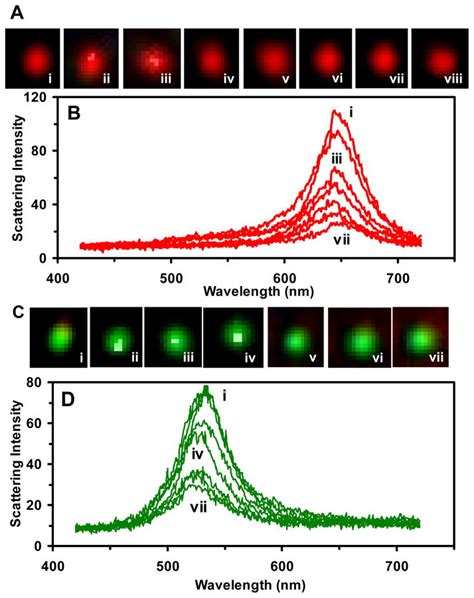 Wavelength Dependent Specific Plasmon Resonance Coupling Of Single